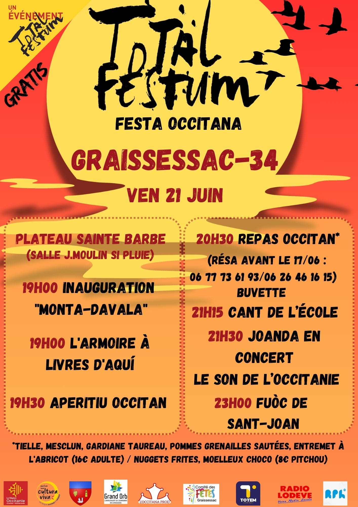 Joanda Affiche Total Festum - Rph